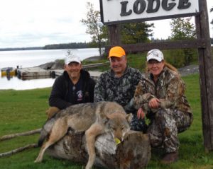 Ontario Timber Wolf Hunts | Kaby Lodge | Northern Ontario Hunting